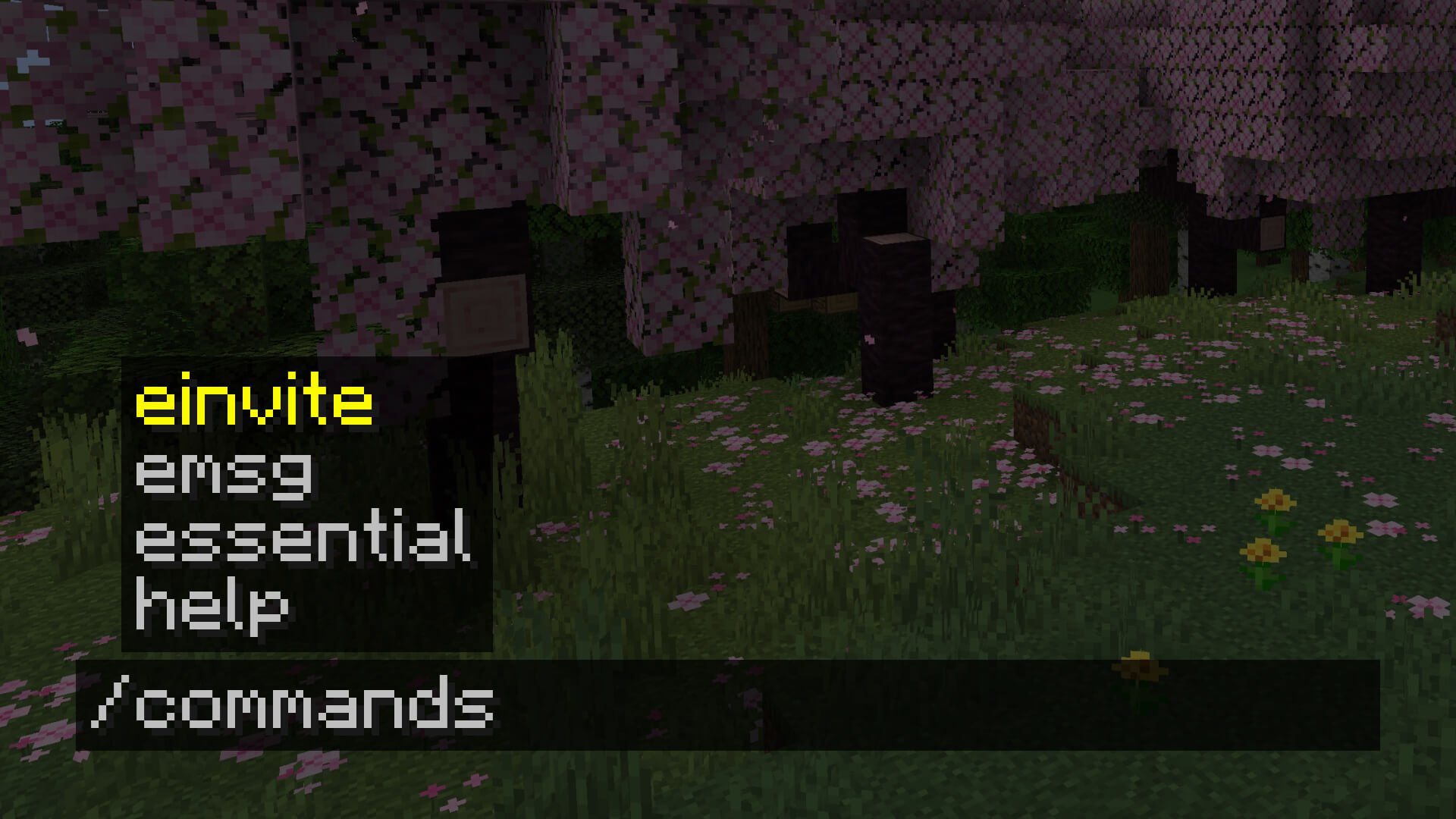 Wiki - Chat Commands | Essential Mod