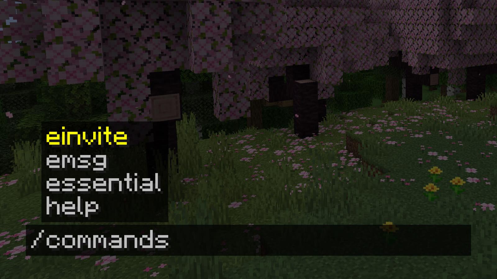 Wiki - Essential Wiki | Essential Mod